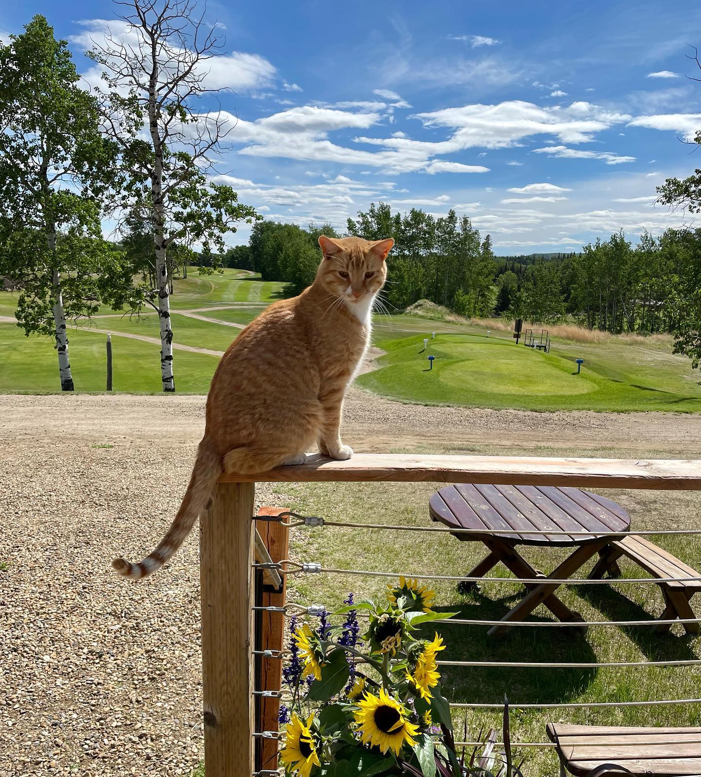 Gallery - Chinook Valley Golf Club